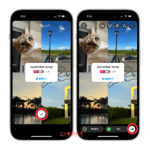 IG Dump 怎麼用？意思是什麼？IG Dump 排版拼貼製作教學 - 塔科女子